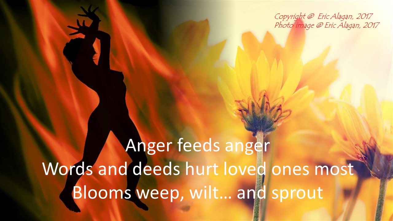 Haiku: Anger – Written Words Never Die